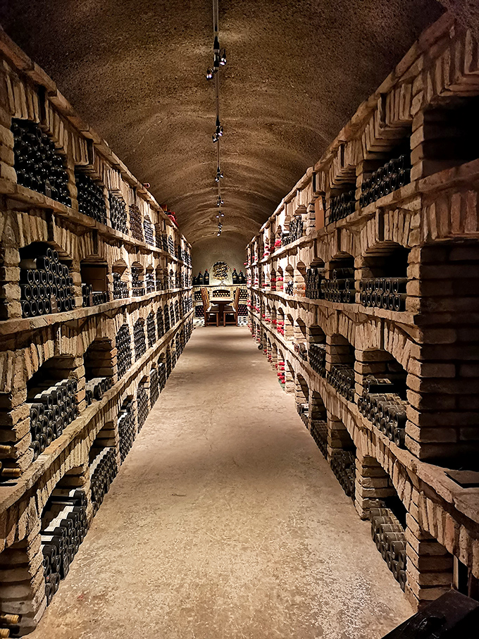 Wine library or secret underground lair? These bottles rest peacefully in their brick-lined sanctuary, plotting world domination one cork at a time.