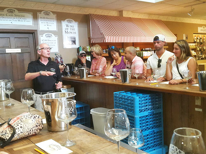 The tasting room: where strangers become friends and friends become slightly tipsy friends with excellent taste in afternoon activities.