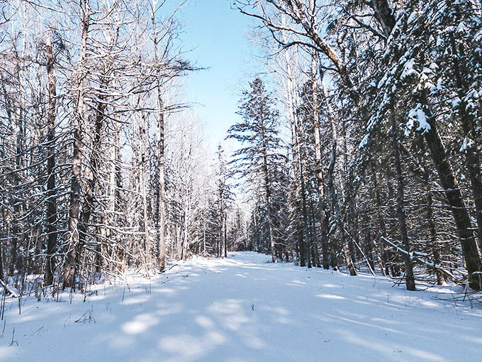 Winter transforms Jay Cooke's trails into silent highways of white, where the only sound is the soft crunch of snow beneath your boots.