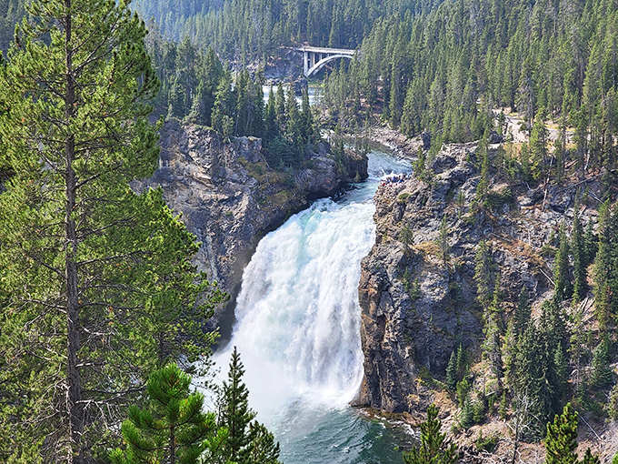 Nature's ultimate showstopper just a short drive away. This waterfall doesn't need Instagram filters – it's been impressing visitors since long before "going viral" meant something good.