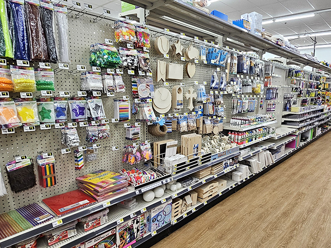 Craft supplies organized with military precision—enough creative potential to fuel a thousand rainy day projects or last-minute school assignments.