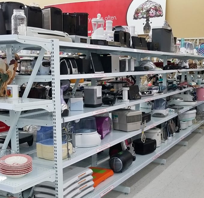 The small appliance section &ndash; where yesterday's kitchen dreams await resurrection in new homes with fresh culinary ambitions.