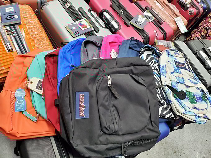 JanSport, meet your colorful cousins! A rainbow of backpacks ready for school, travel, or that spontaneous weekend getaway to anywhere but your couch.