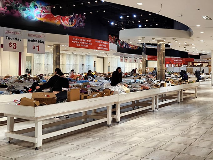 Treasure hunting goes indoor at clearance tables where patience rewards the persistent. The thrill of the find is worth the dig!