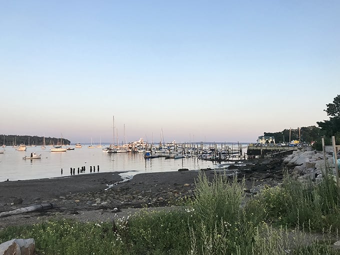 The morning light catches Belfast Bay just right, turning ordinary water into liquid silver worth writing home about.