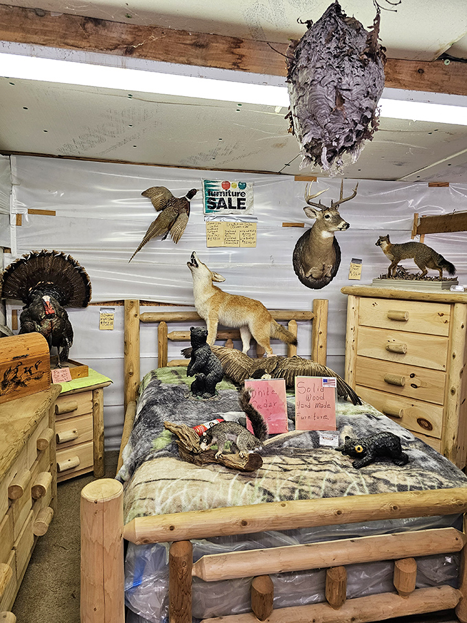 The taxidermy department doubles as Tennessee's most unusual bedroom showroom. Sleep tight with woodland creatures keeping watch over your dreams.