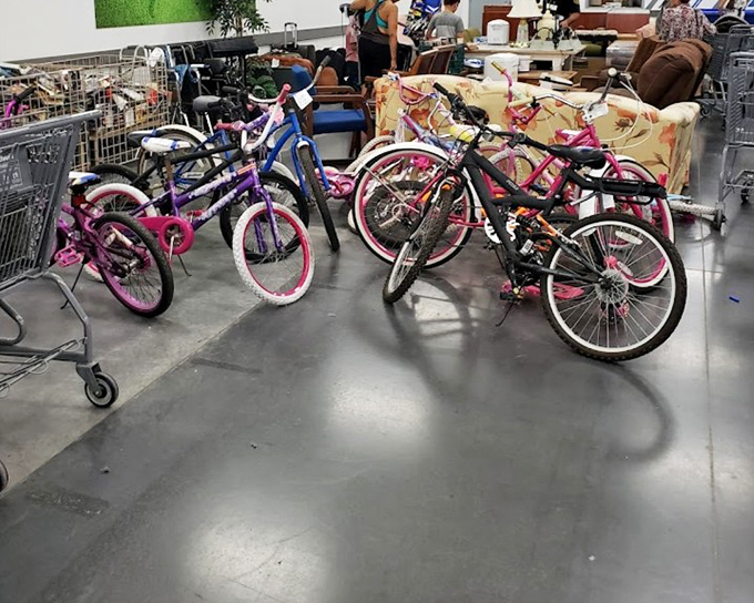 A fleet of pink dreams awaiting new adventures. These bicycles could transport a child from ordinary afternoons to extraordinary explorations for a fraction of retail.