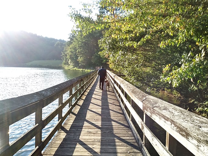 Sunlight plays across this lakeside boardwalk, creating the perfect backdrop for contemplative strolls or impromptu shadow puppet performances.