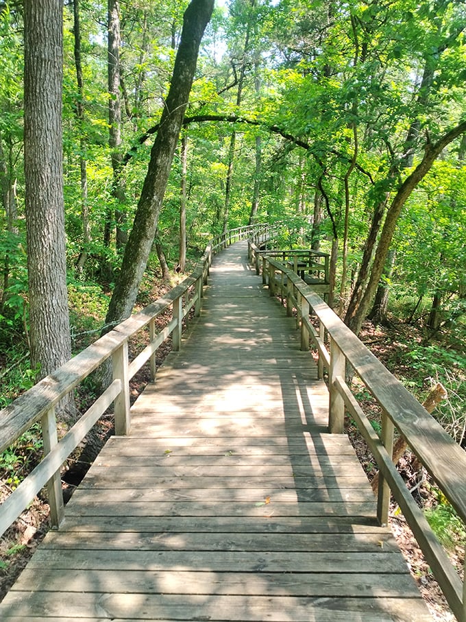 This boardwalk doesn't lead to saltwater taffy and carnival games, but something far better &ndash; a front-row seat to Arkansas's natural splendor.