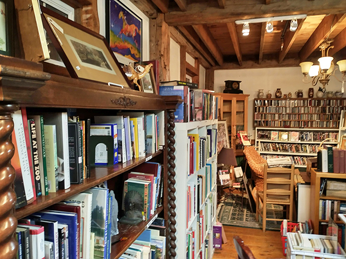 A bibliophile's dream come true. These shelves don't just hold books; they harbor adventures, knowledge, and that irreplaceable old book smell.