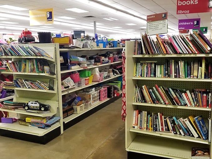 The book section: where literary adventures cost less than a cup of coffee. Paperback time machines lined up like soldiers of knowledge. 
