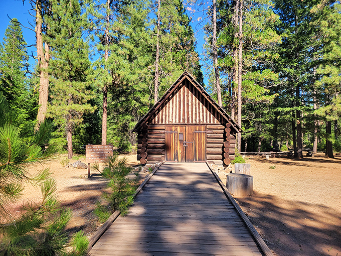 This rustic log cabin nestled among towering pines looks like it was plucked straight from a storybook. Lincoln Logs for grown-ups!
