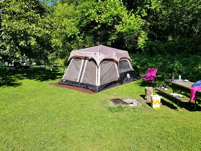 Camping here means waking up in your own private slice of wilderness. City lights traded for starlight, alarm clocks for birdsong.