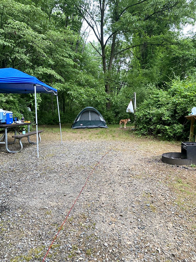 Home sweet temporary home. This campsite offers the perfect balance of wilderness immersion with just enough creature comforts to keep it civilized.