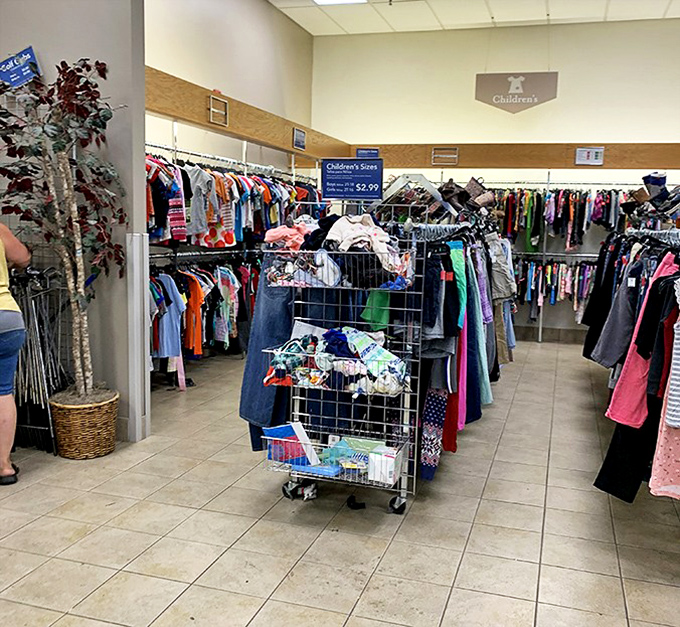 The children's section: where savvy parents outfit growing kids without growing debt. That dinosaur t-shirt won't be extinct from your budget!