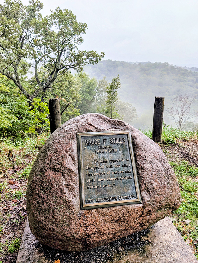 History carved in stone, this memorial plaque reminds us that nature's laws trump human ones. Wisdom from the wilderness, framed by morning mist.
