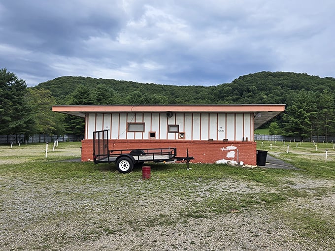 Wood paneling and a giant popcorn bucket signal you've arrived at snack heaven, where nostalgia comes with extra butter.