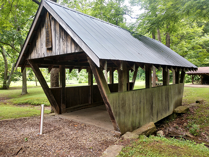 A wooden footbridge beckons adventurers deeper into the forest. Like something from a fairy tale, minus the trolls (we hope).