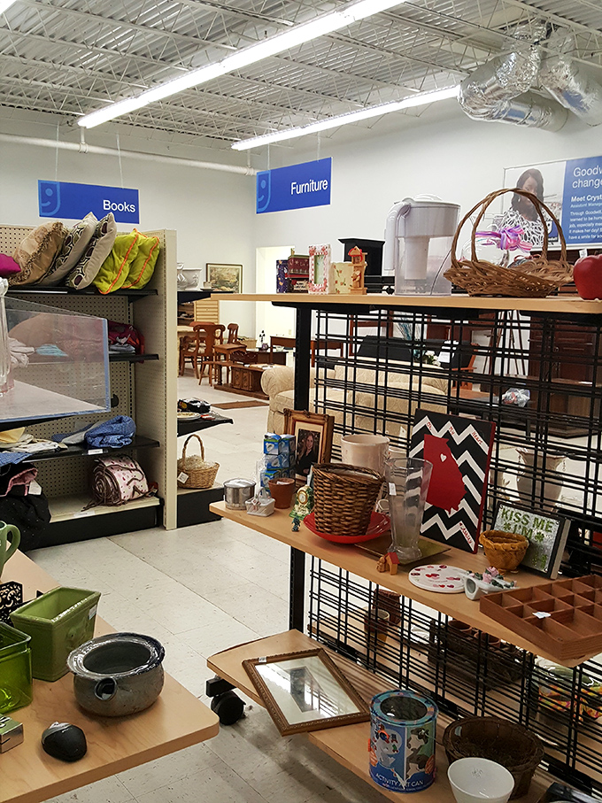 Home décor treasures await adoption—from wicker baskets to framed art, each item silently hoping for its second act in your living room.