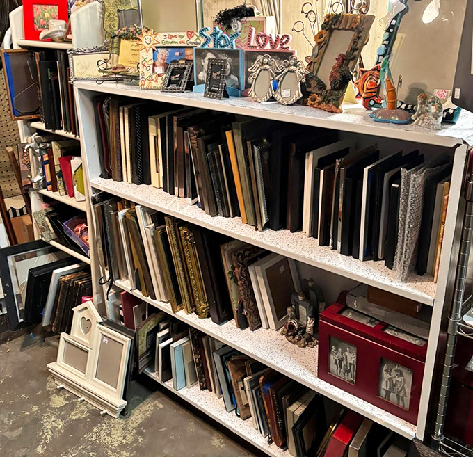 Picture frames in every style imaginable, ready to showcase your family photos or hide that suspicious wall stain with class.