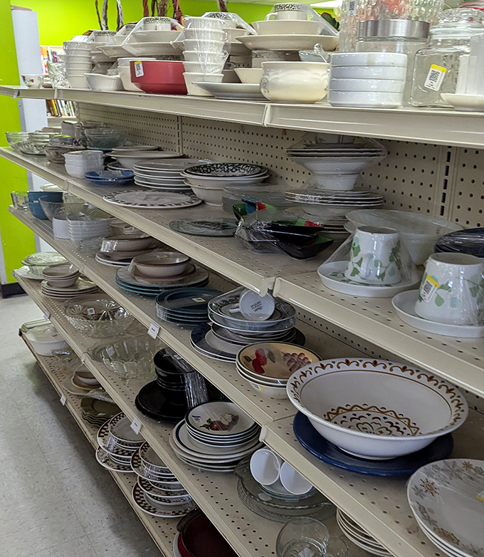 Dish paradise! From everyday plates to vintage treasures, these shelves hold stories of countless family dinners and celebrations past.