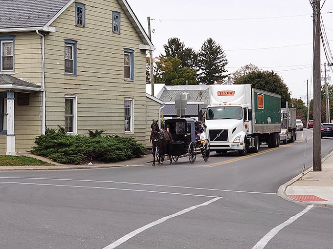 Modern trucks and horse-drawn buggies share the road in perfect harmony. It's like watching two different centuries politely taking turns at a four-way stop.