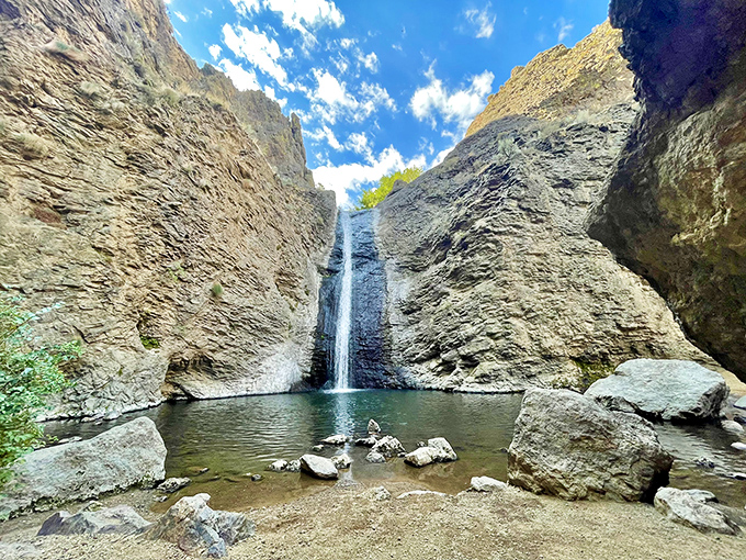 The main attraction in all its glory &ndash; sunlight illuminates the falls as they create their own microclimate in the desert canyon.