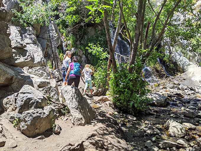 Family adventure in progress! The trail offers natural obstacle courses that turn "are we there yet?" into "can we climb on more rocks?"