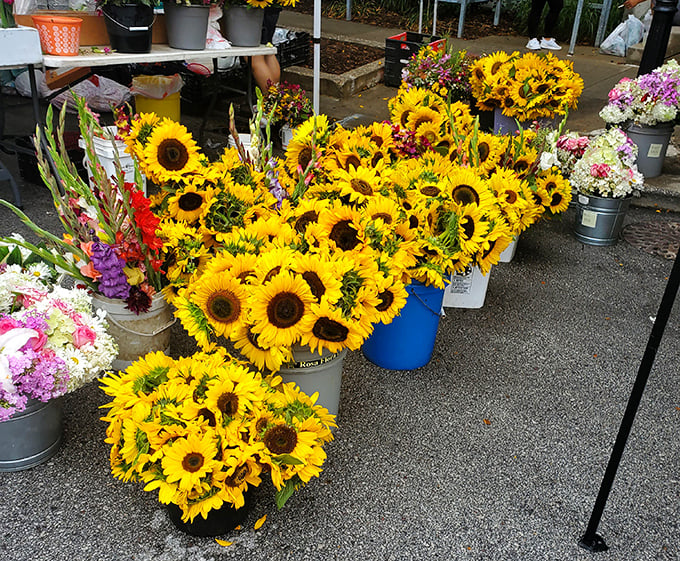 Sunshine you can take home! These vibrant sunflowers bring instant joy, no watering required for at least a week&mdash;nature's mood enhancers in convenient bouquet form.