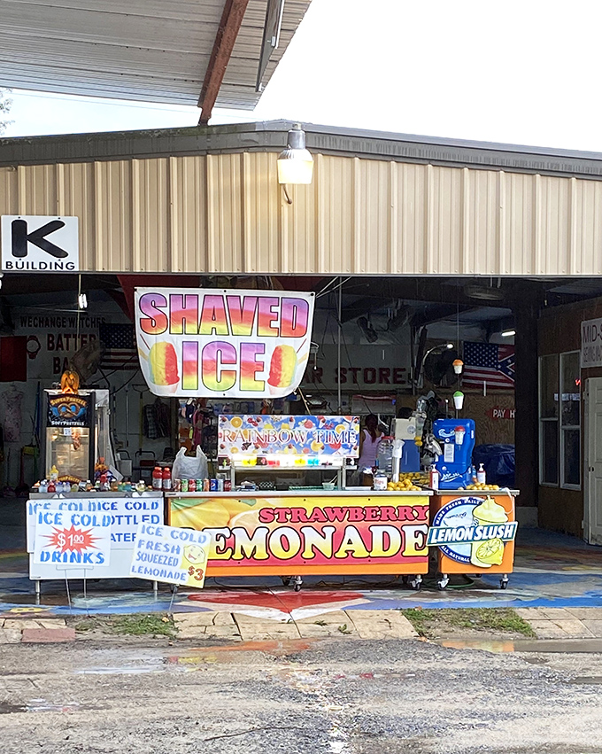 Florida's antidote to the midday heat: rainbow-colored shaved ice and fresh-squeezed lemonade that tastes like summer in a cup.