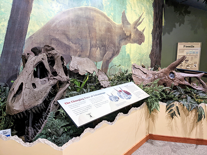 Face-to-face with residents who checked out 65 million years ago. The visitor center's fossil displays bring Montana's prehistoric past roaring back to life.