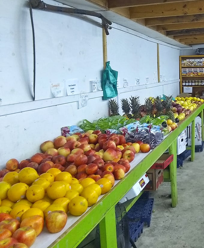 Farm-fresh bounty lined up like edible jewels. These apples, lemons and pineapples traveled fewer miles to get here than you probably did.
