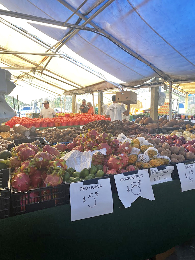 Mother Nature's candy store! These exotic fruits bring tropical vacations to Ladson, with dragon fruit and guava that taste like passport stamps.