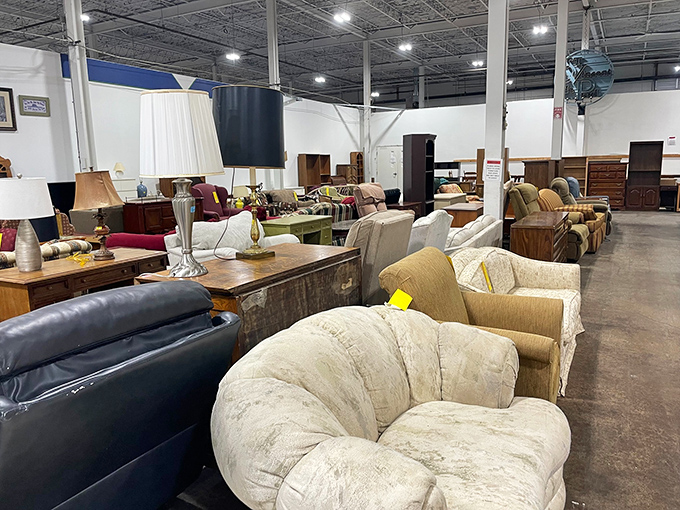 The furniture section: where mid-century meets contemporary, and your living room's future star might be hiding between those cushions.
