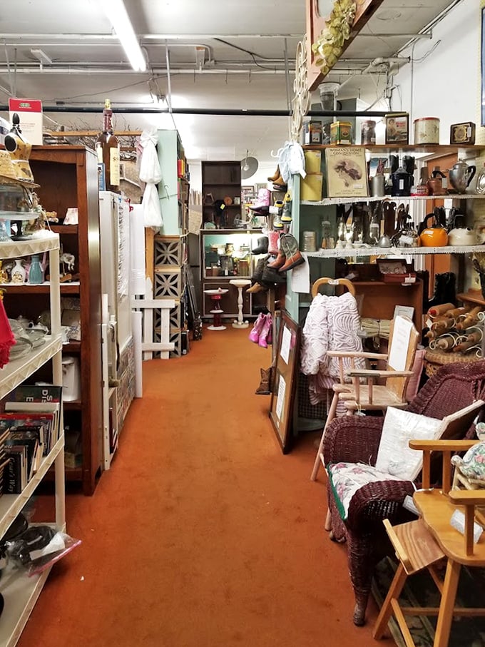 Narrow pathways lead to unexpected discoveries, like this furniture alley where mid-century meets country charm in a delightful standoff.