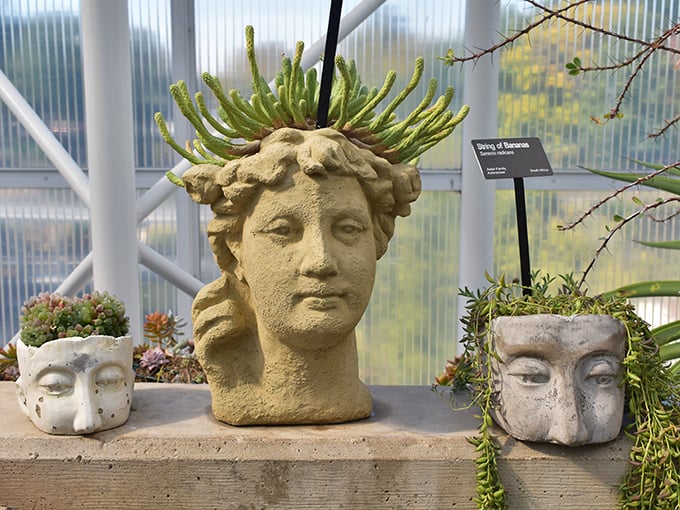 Garden art with attitude! These quirky planters prove that even succulents need a good head on their shoulders.