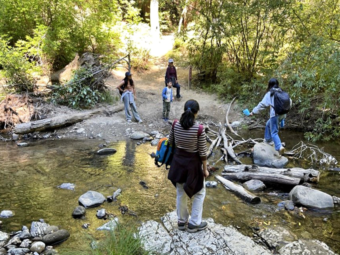 Creek crossings: where city folks discover their inner mountain goat and children mysteriously develop selective hearing when told "don't get your shoes wet."