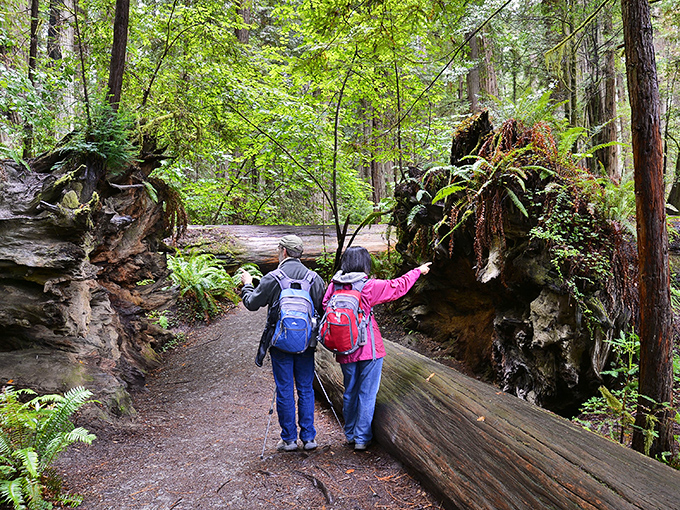 Two hikers pause to appreciate nature's architecture&mdash;a moment worth more than any souvenir you could buy in a gift shop.