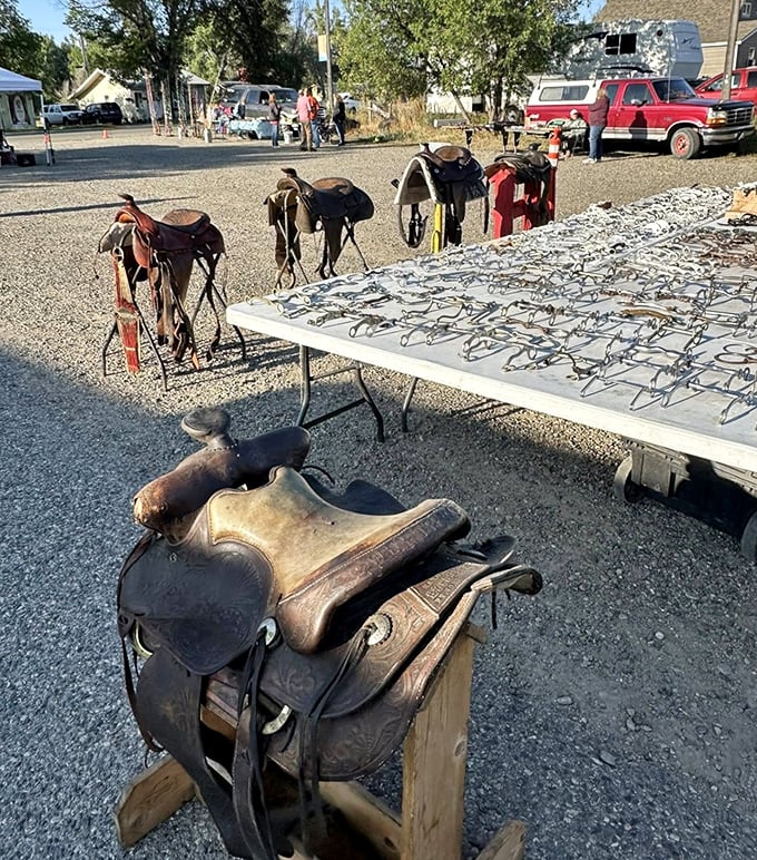 Saddle up for savings! These well-worn leather beauties carry the stories of Montana's ranching heritage in every crease and scratch.