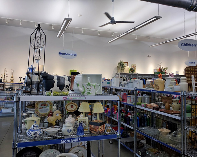 Housewares section: where yesterday's cherished kitchen gadgets and tomorrow's conversation pieces coexist in perfect, affordable harmony.