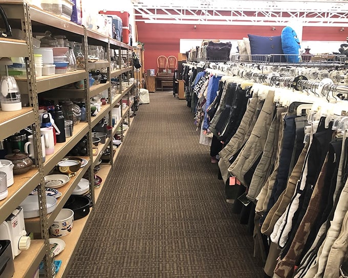 Navigate the narrow pathways between housewares and clothing like an explorer charting undiscovered savings territory.