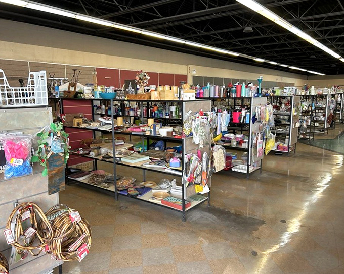 Organized chaos at its finest. Each shelf a different universe of possibilities, each aisle a new expedition.