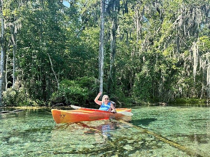 Gliding through liquid crystal in a kayak offers the perfect vantage point for spotting turtles, fish, and the occasional camera-shy alligator.