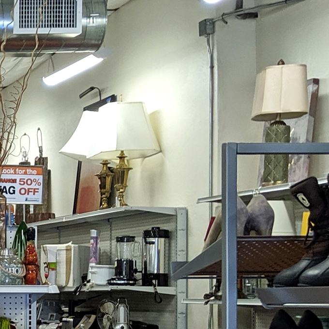 Vintage lamps and small appliances line the shelves like contestants on a game show called "Pick Me! I Still Work Great!" The perfect reading lamp is waiting.