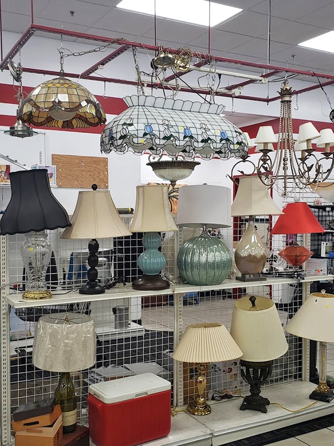 The lamp section glows with possibility—from elegant Tiffany-style pendants to quirky table lamps that could star in your next living room makeover.