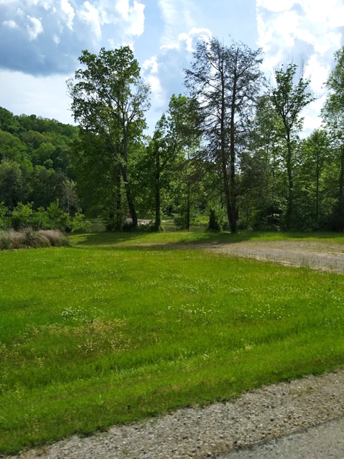 Open meadows provide breathing room among the dense forests. Mother Nature's version of an intermission.