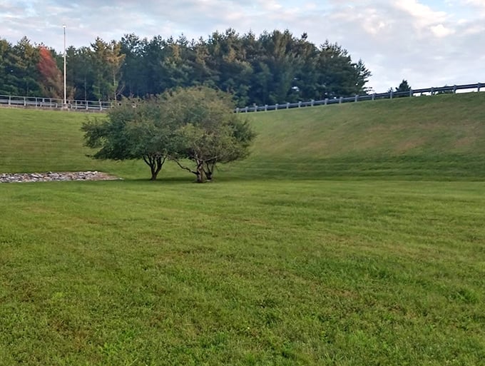 Mother Nature's amphitheater. This gently sloping green space creates the perfect natural stadium for watching cloud performances.