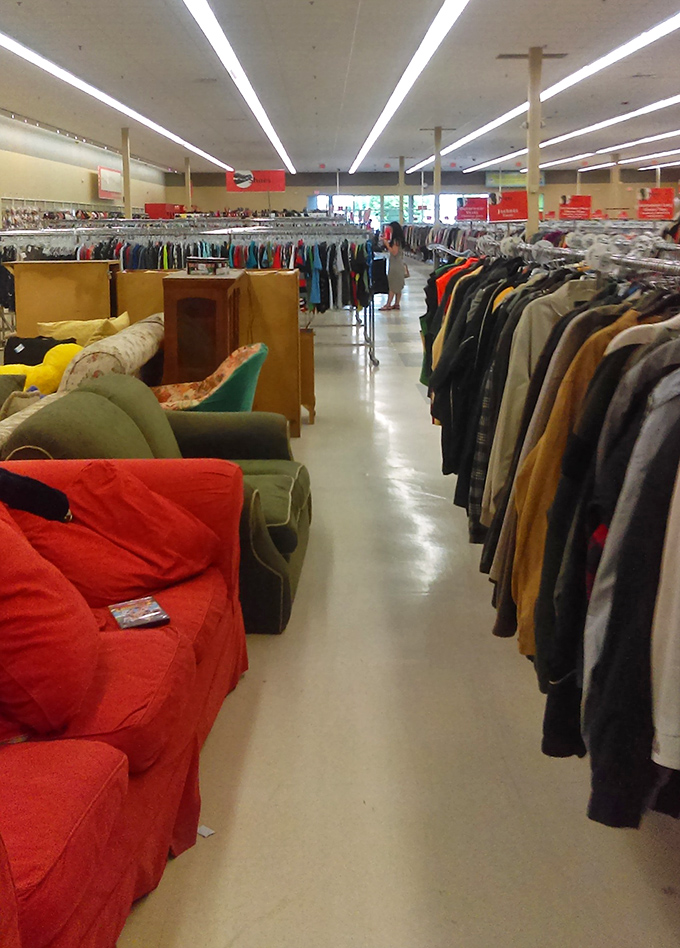 The thrifter's paradise: where furniture meets fashion in a delightful maze of possibility. One person's decluttering is another's decorating spree.