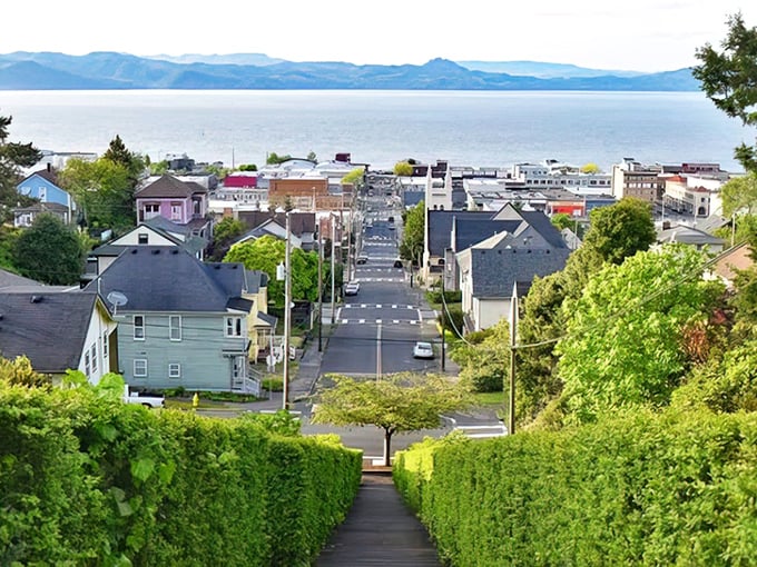 Astoria's hillside neighborhoods cascade toward the Columbia River, creating a geometric pattern of colorful homes and streets that beg to be explored on foot.