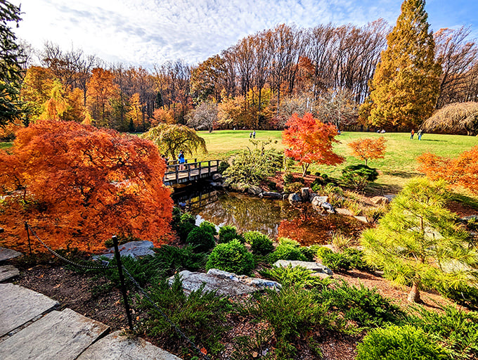 Fall transforms the landscape into a painter's palette, with colors so vivid they make autumn elsewhere look lazy.
